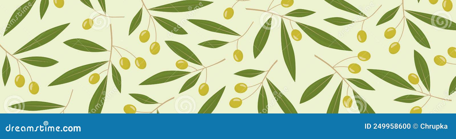 Olive tree branches banner stock vector. Illustration of organic ...