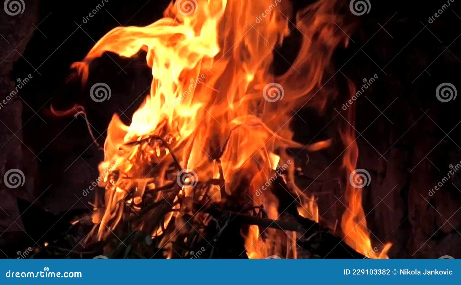 Olive Tree Branches on Fire Zoom Stock Footage - Video of fire, camera ...