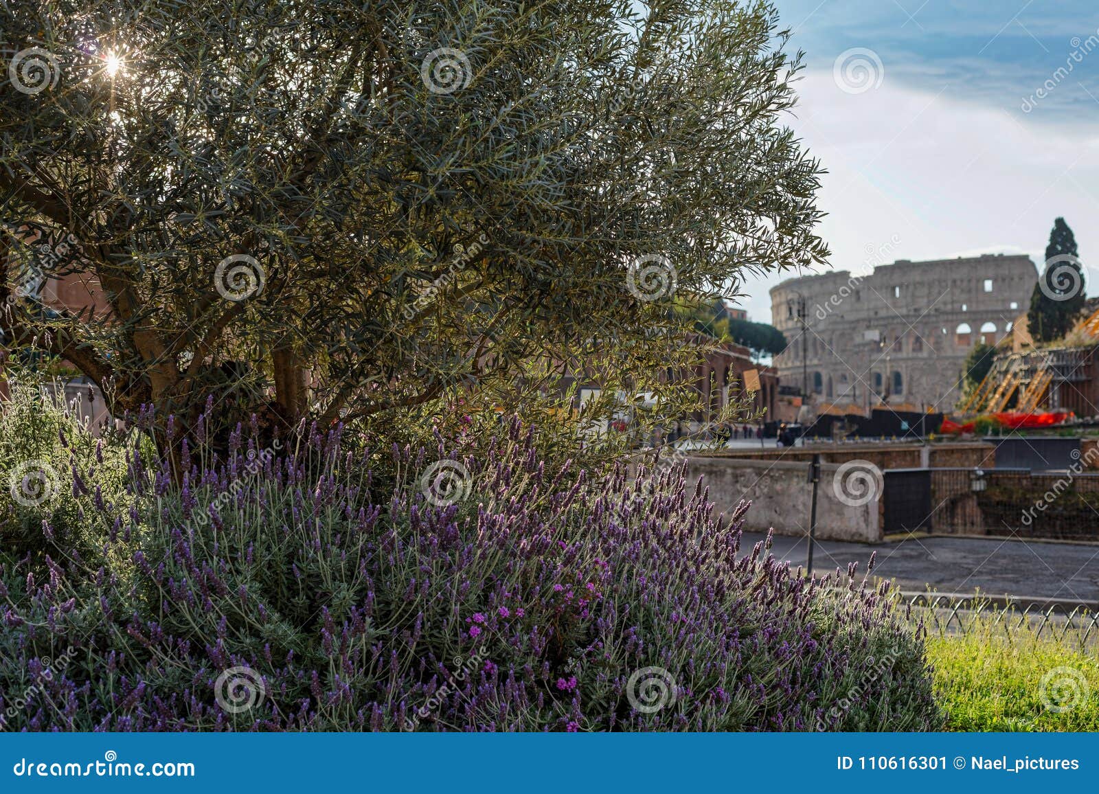 Springtime in Rome stock image. Image of olive, city - 110616301