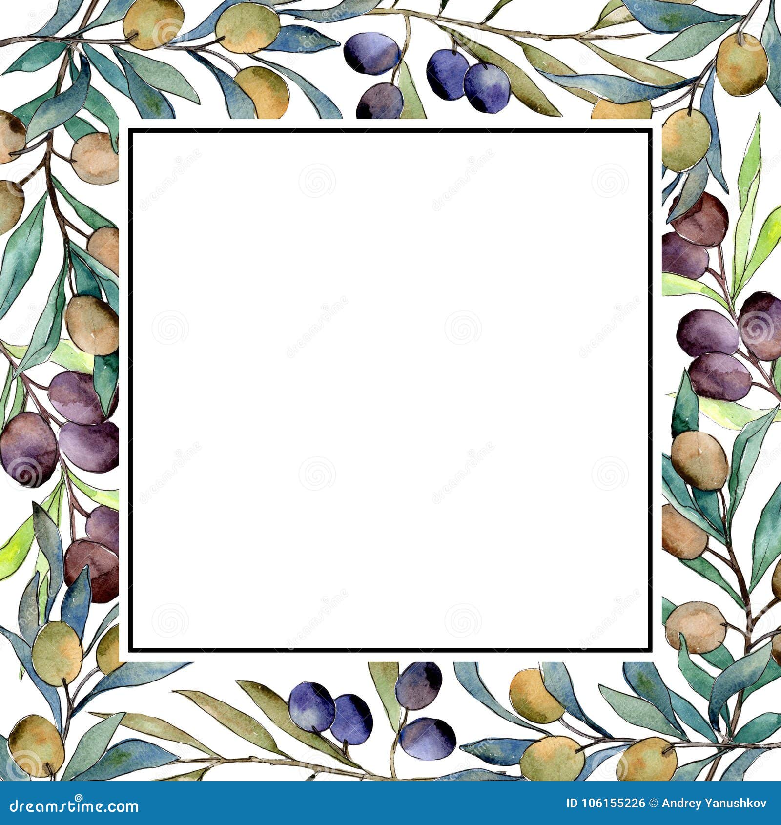 Olive Tree Frame in a Watercolor Style. Stock Illustration ...