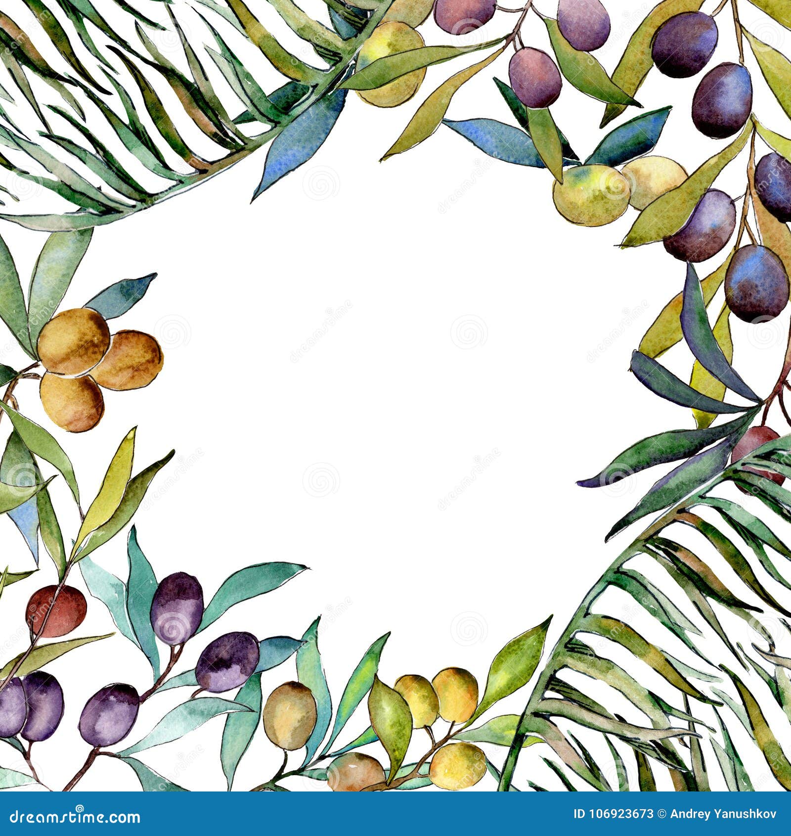 Olive Tree Frame in a Watercolor Style. Stock Illustration ...