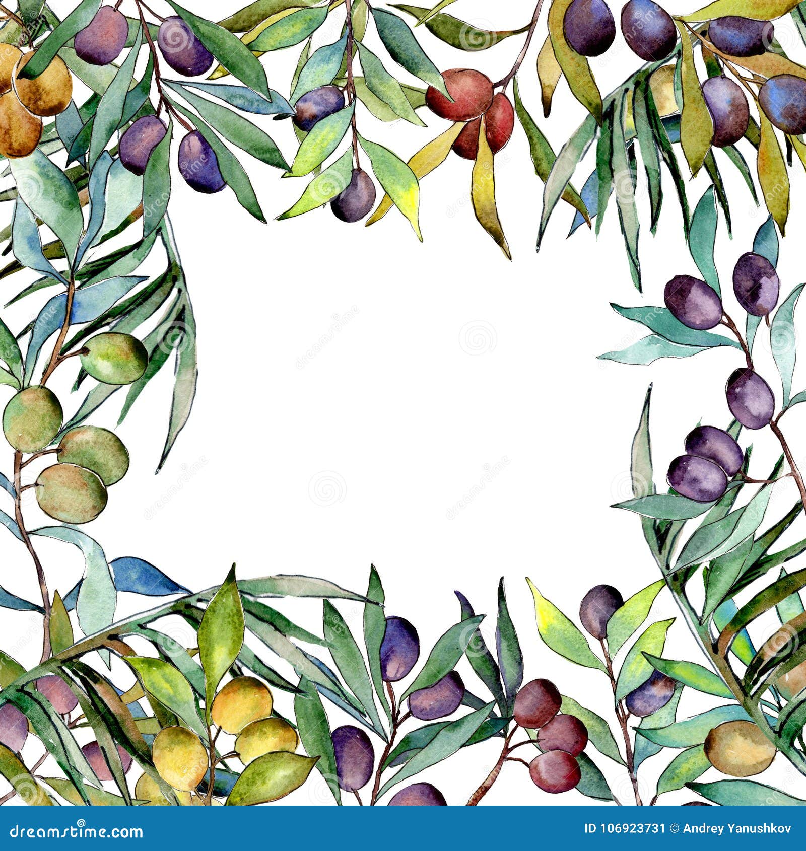 Olive Tree Frame in a Watercolor Style. Stock Illustration ...