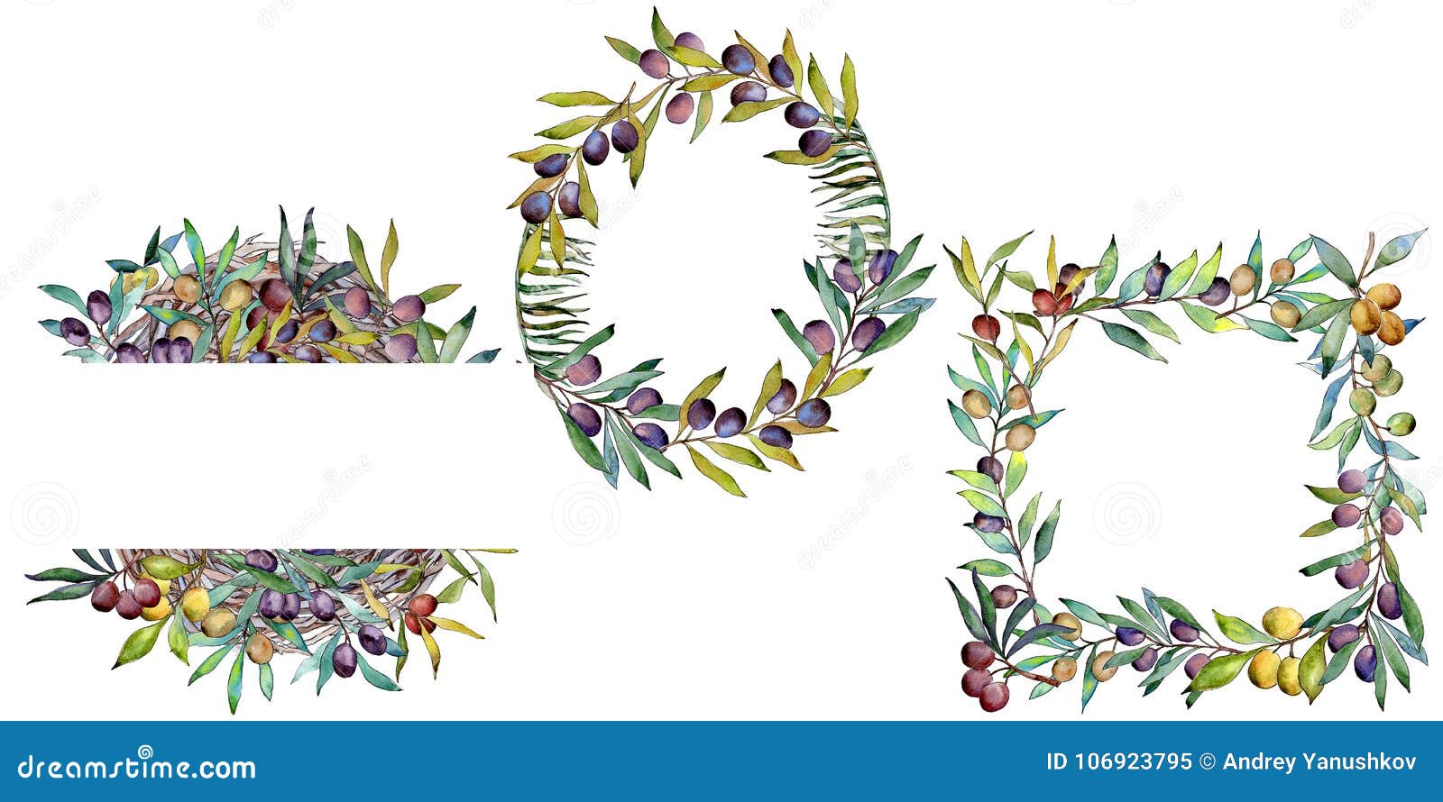 Olive Tree Frame in a Watercolor Style. Stock Illustration ...