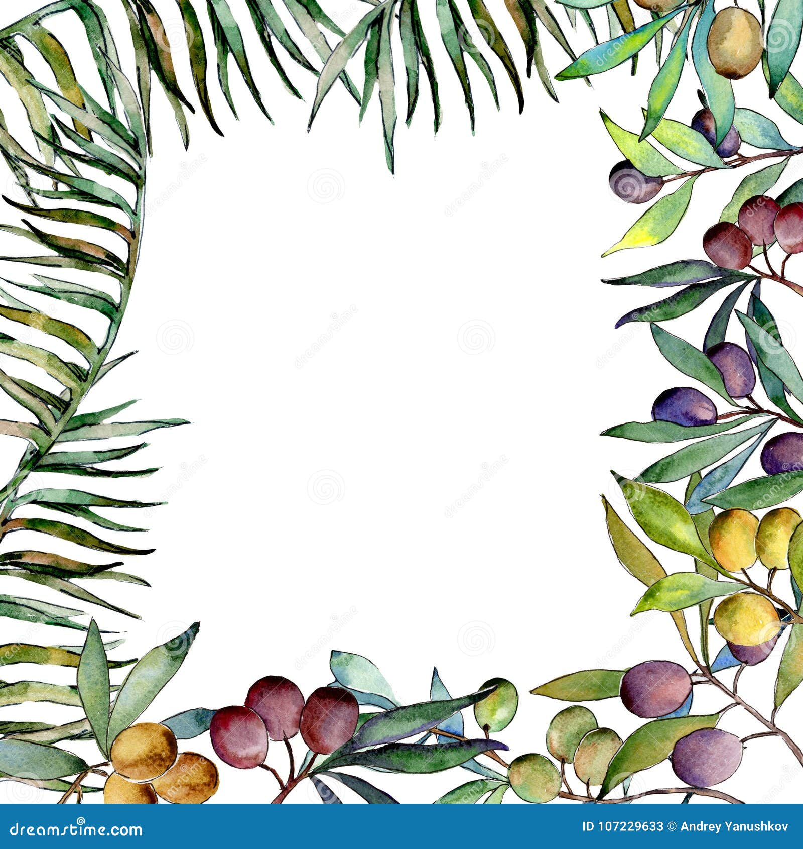 Olive Tree Frame in a Watercolor Style. Stock Illustration ...