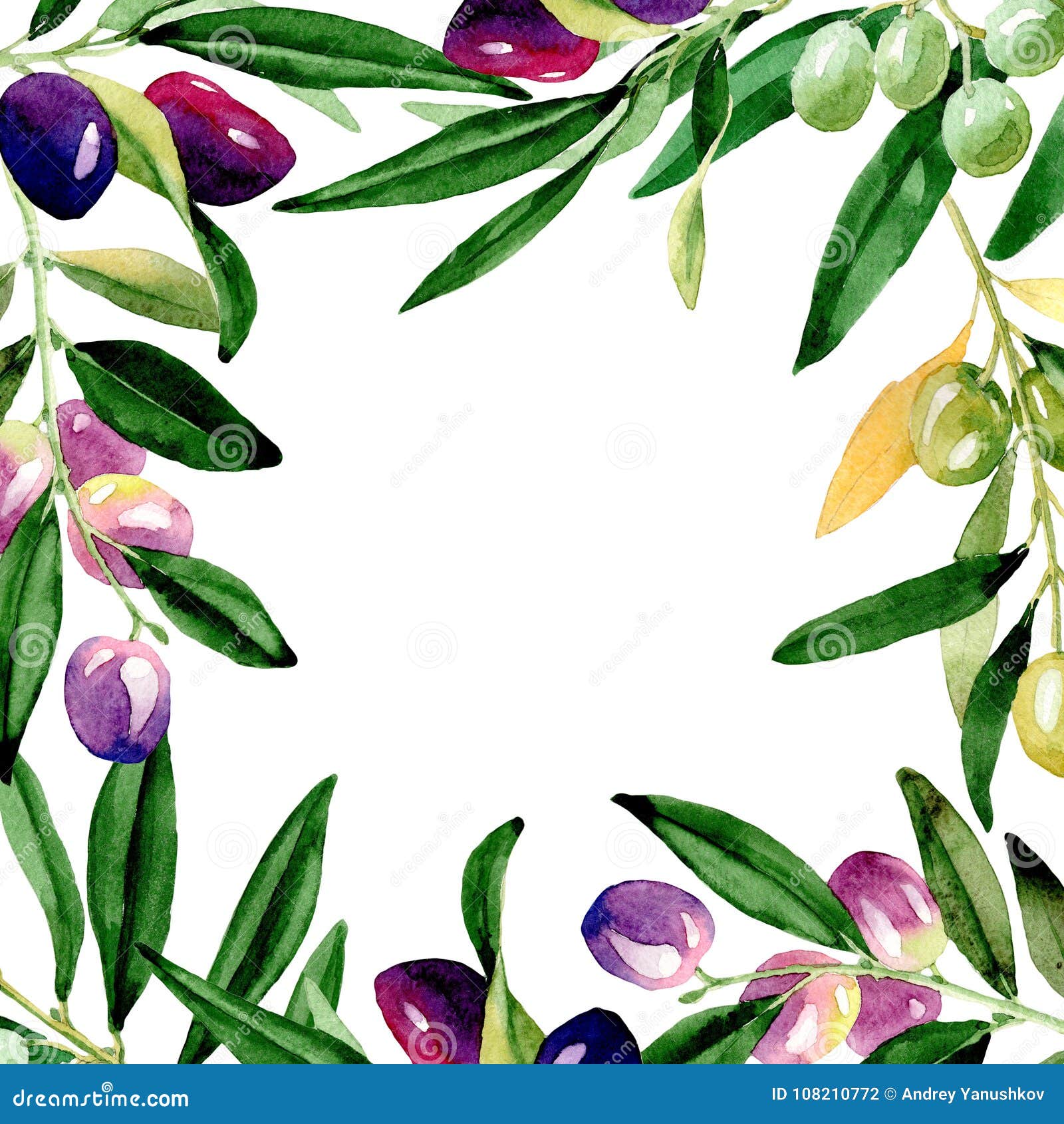 Olive Tree Frame in a Watercolor Style. Stock Illustration ...