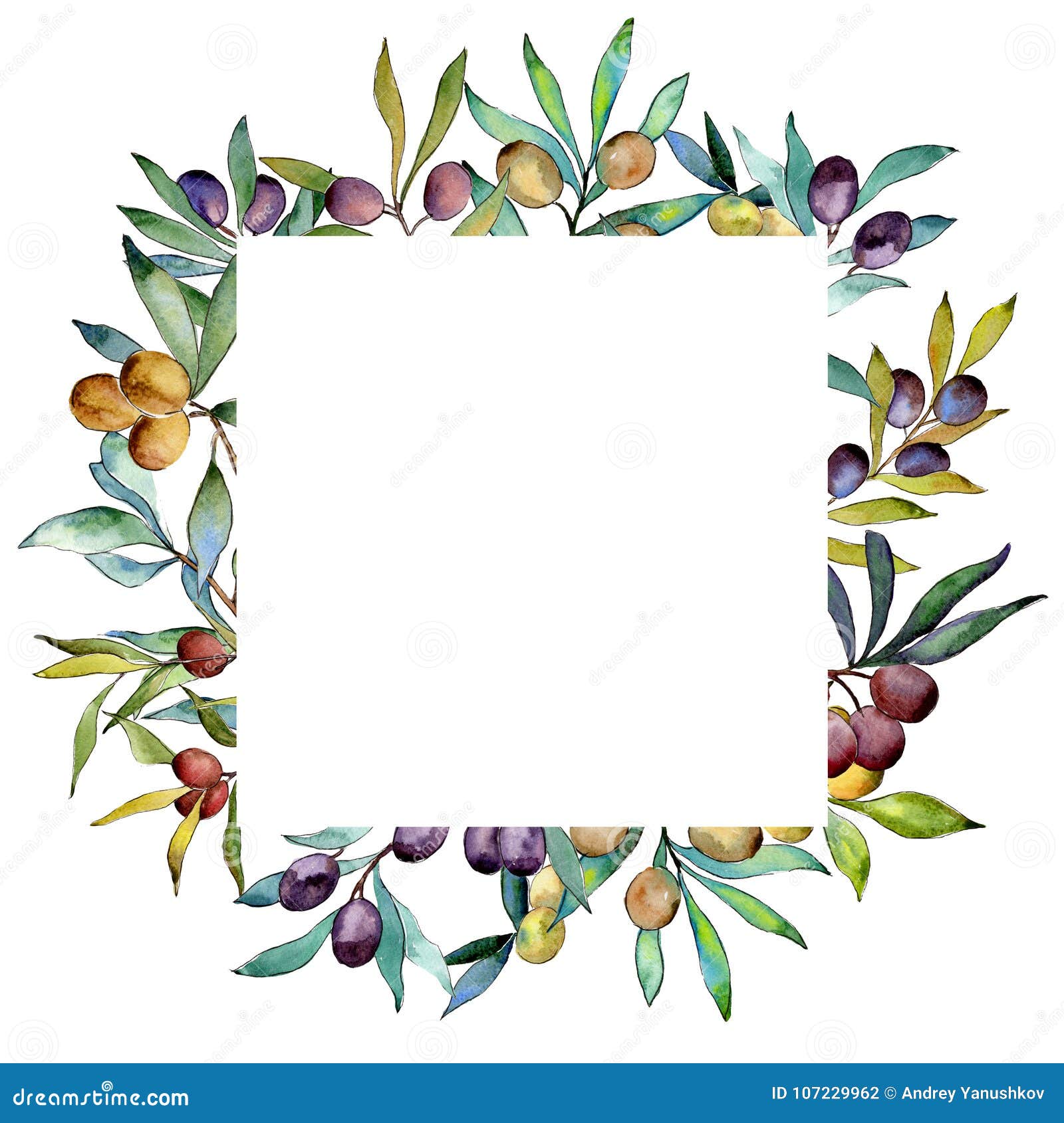 Olive Tree Frame in a Watercolor Style. Stock Illustration ...