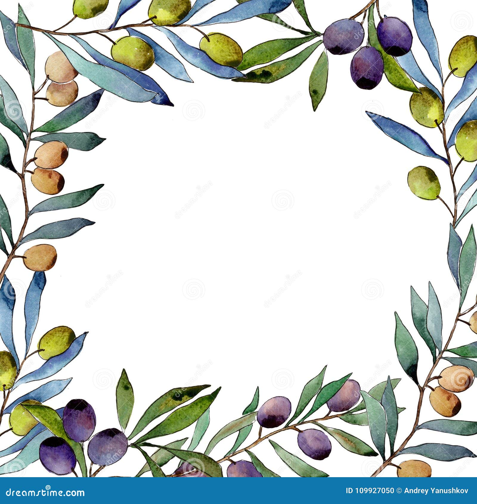 Olive Tree Frame in a Watercolor Style. Stock Illustration ...