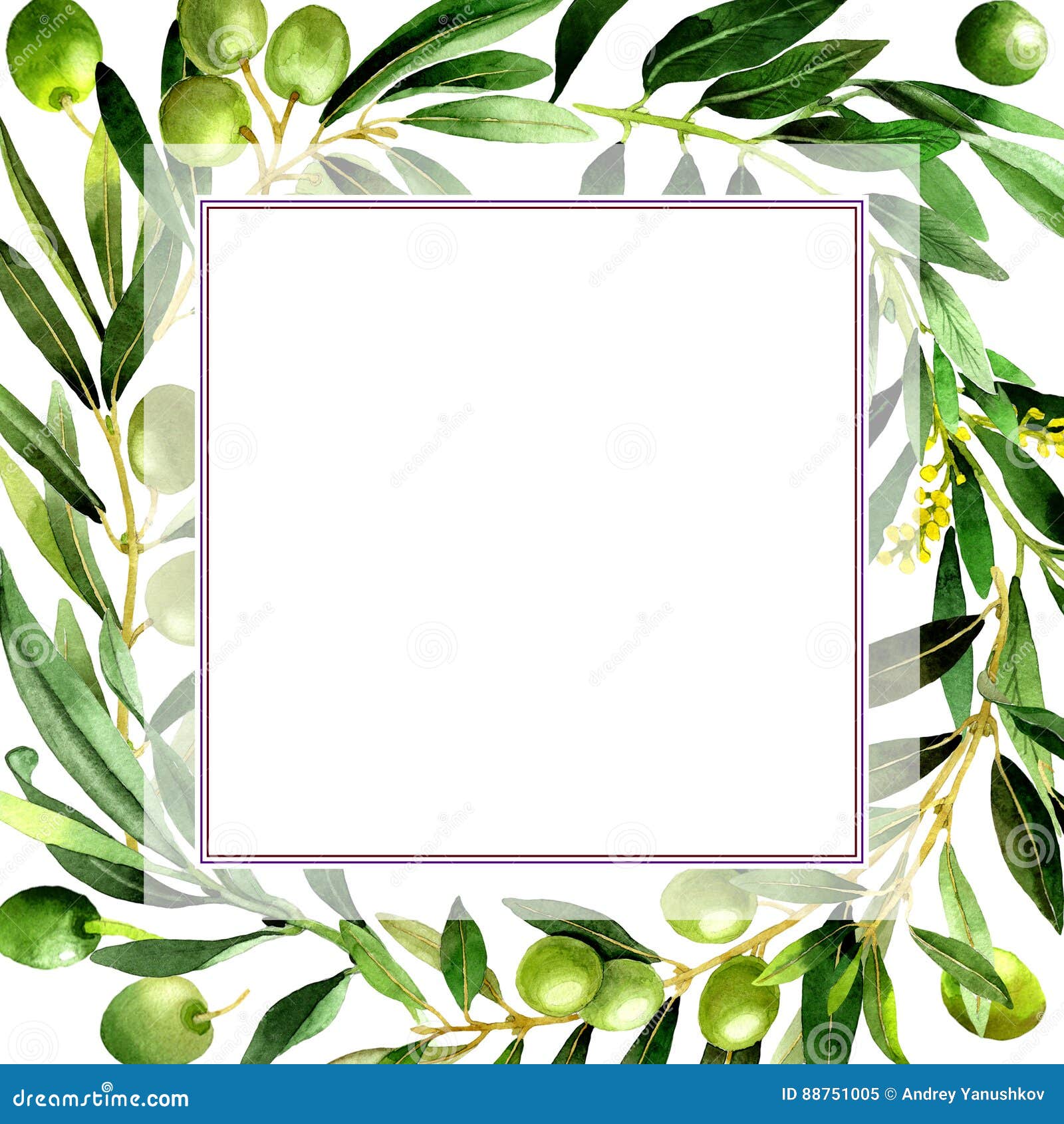 Olive Tree Frame in a Watercolor Style Isolated. Stock Illustration ...