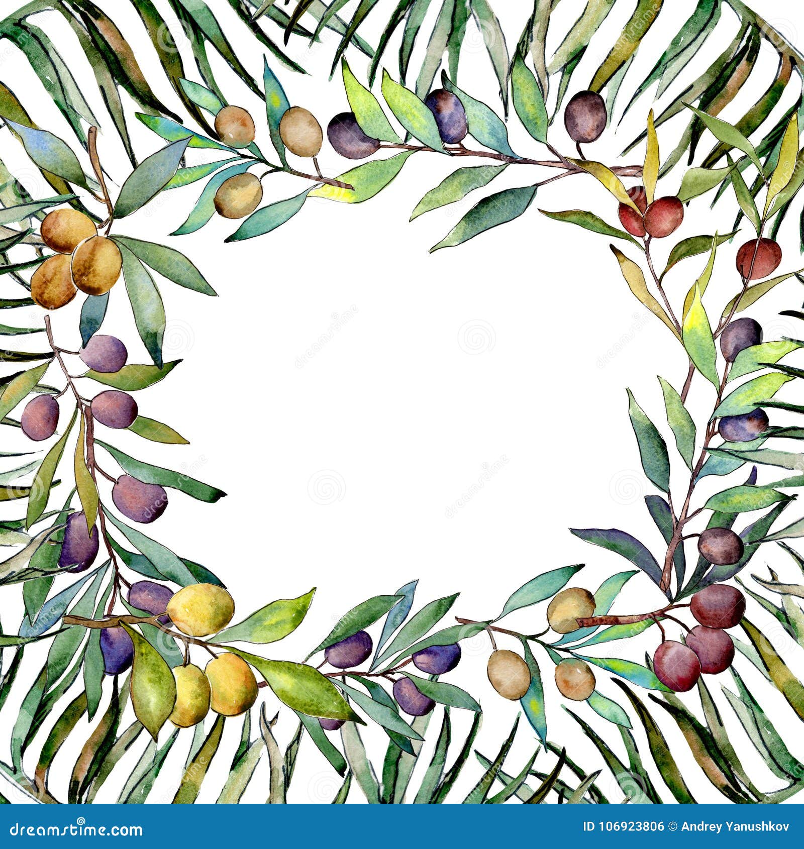Olive Tree Frame in a Watercolor Style. Stock Illustration ...