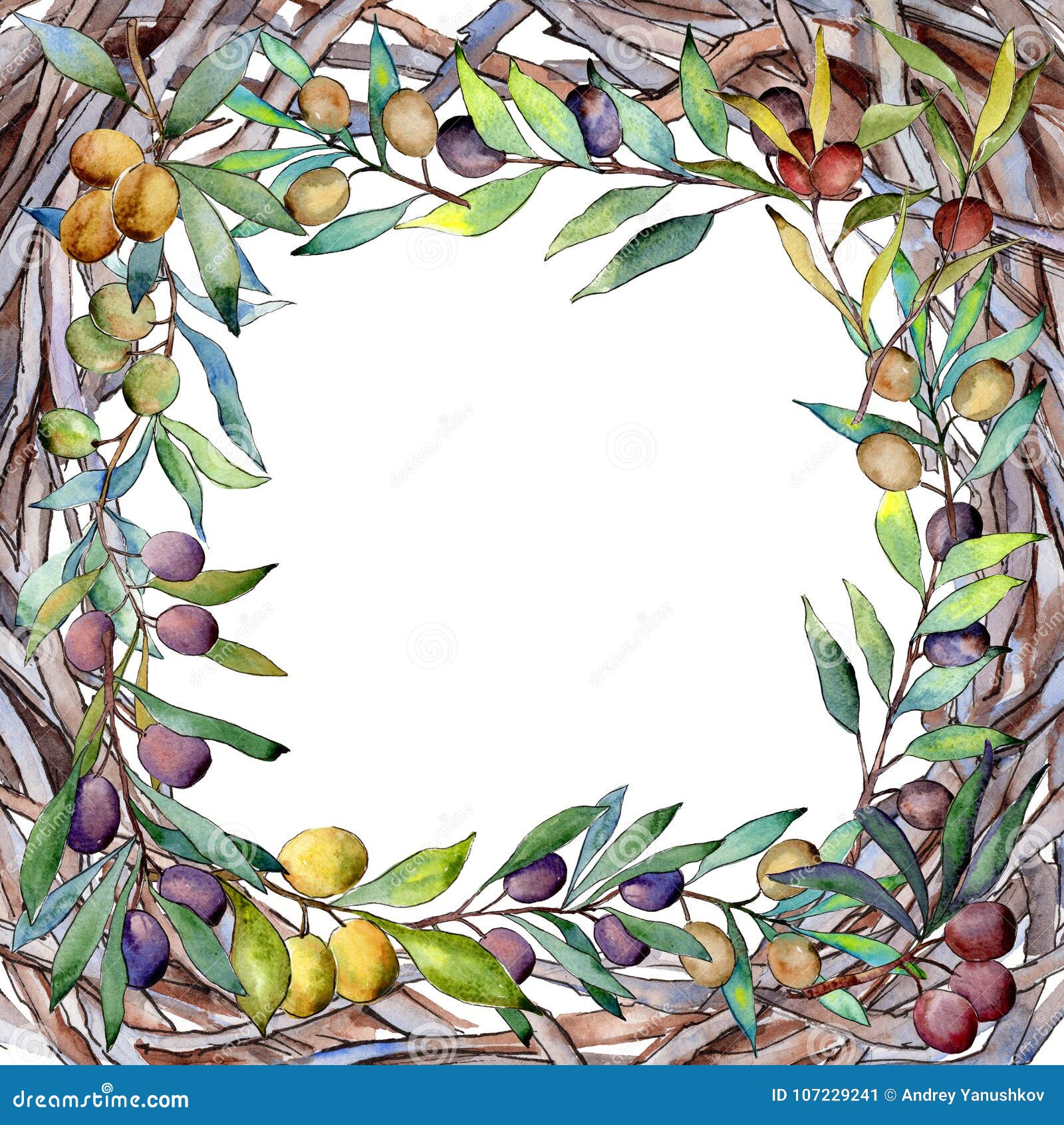 Olive Tree Frame in a Watercolor Style. Stock Illustration ...