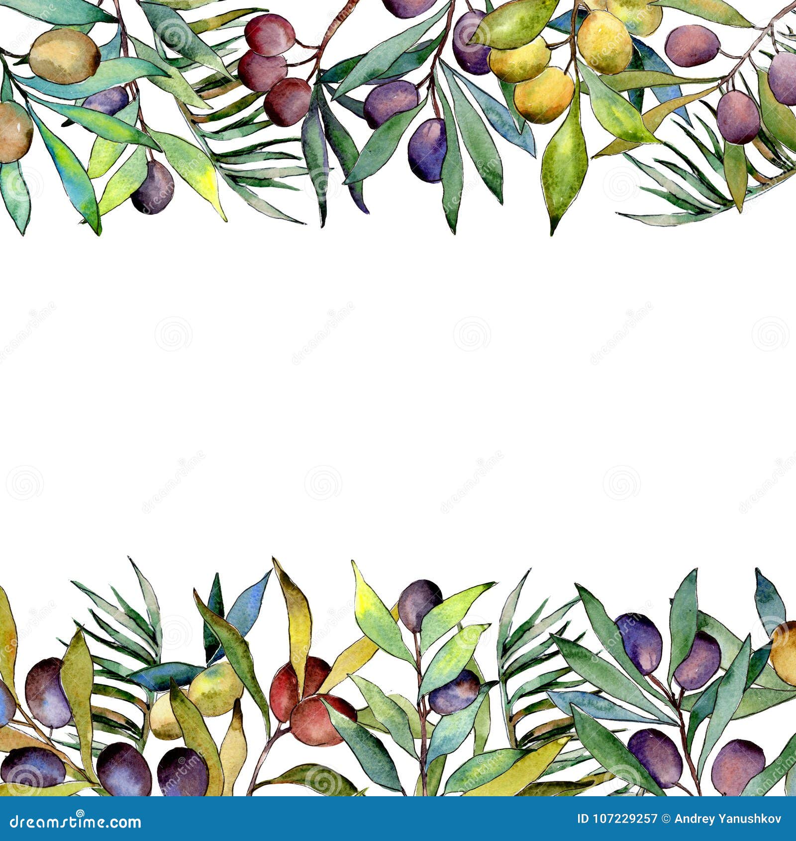 Olive Tree Frame in a Watercolor Style. Stock Illustration ...