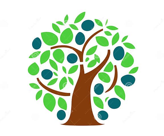 Olive Tree Logo Image Creative Cartoon Design Stock Vector ...