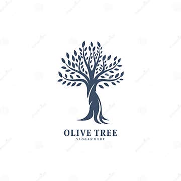 Olive Tree Logo Vector Design Stock Vector - Illustration of packaging ...