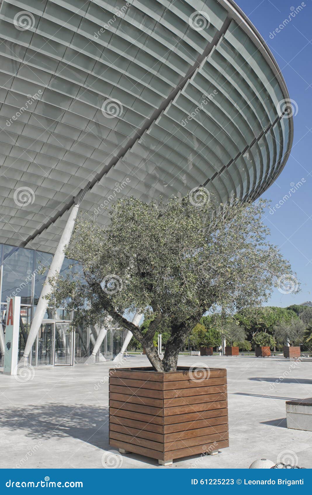 Olive Tree and Modern Building Stock Image - Image of modern, town ...