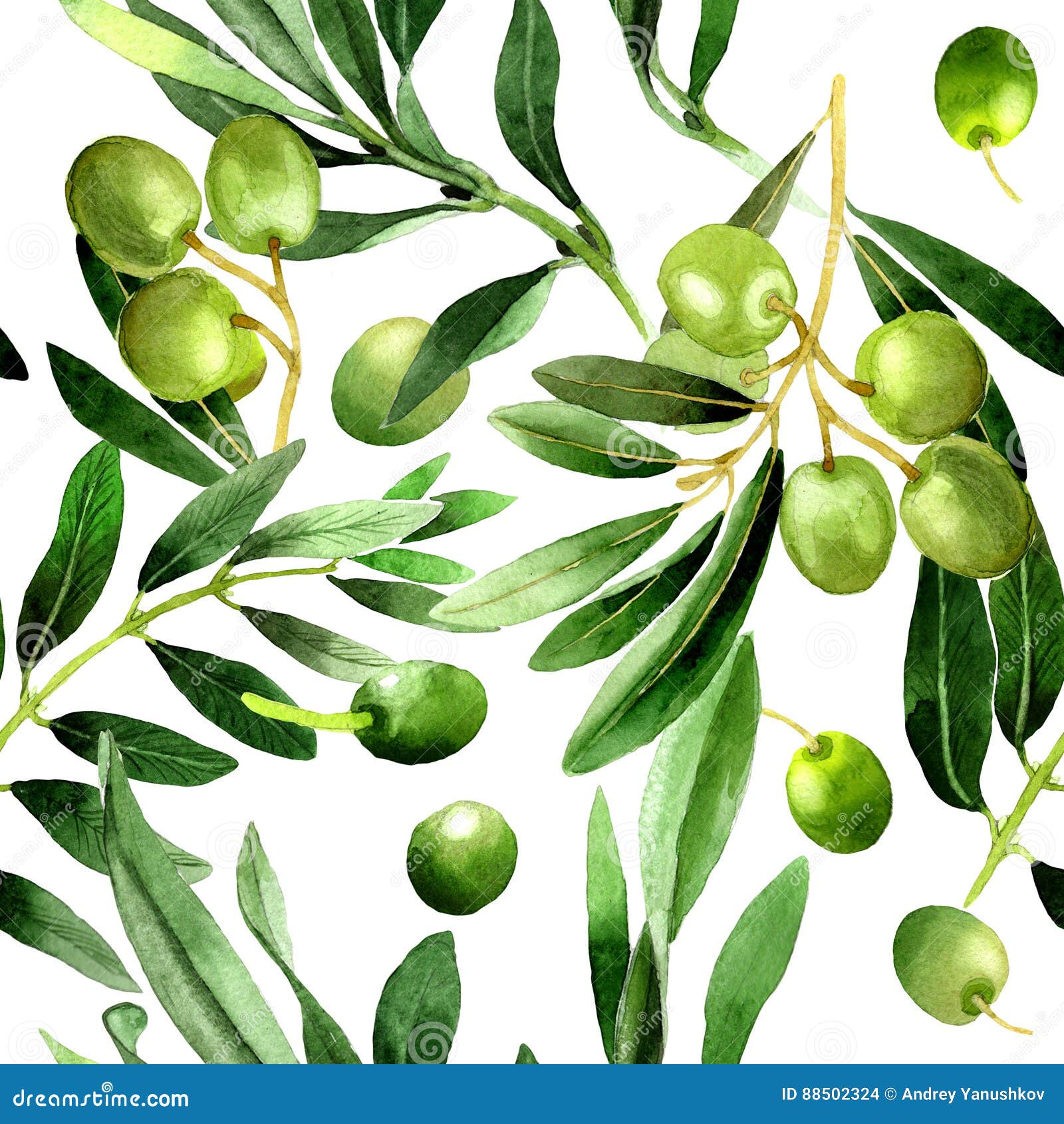 Olive Tree Pattern in a Watercolor Style Isolated. Stock Illustration ...