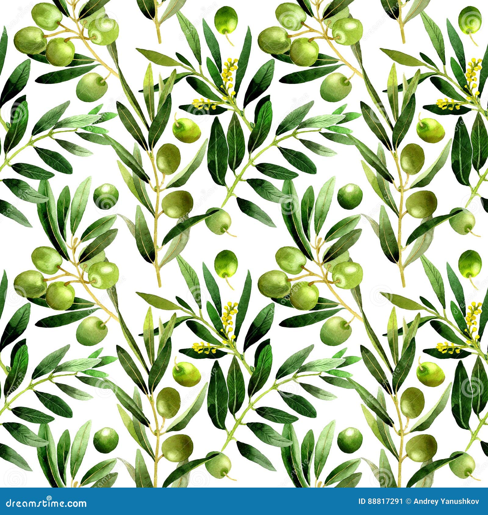 Olive Tree Pattern in a Watercolor Style Isolated. Stock Illustration ...