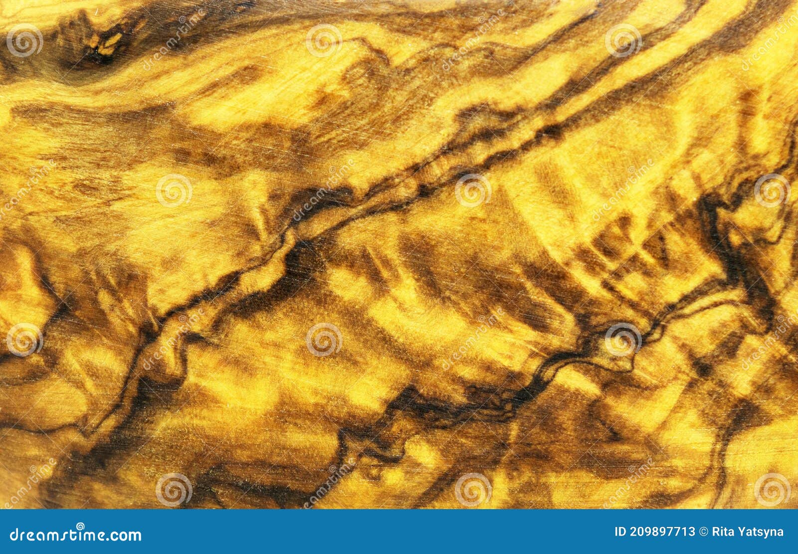 Olive Tree Texture Close Up Stock Image - Image of natural, lumber ...