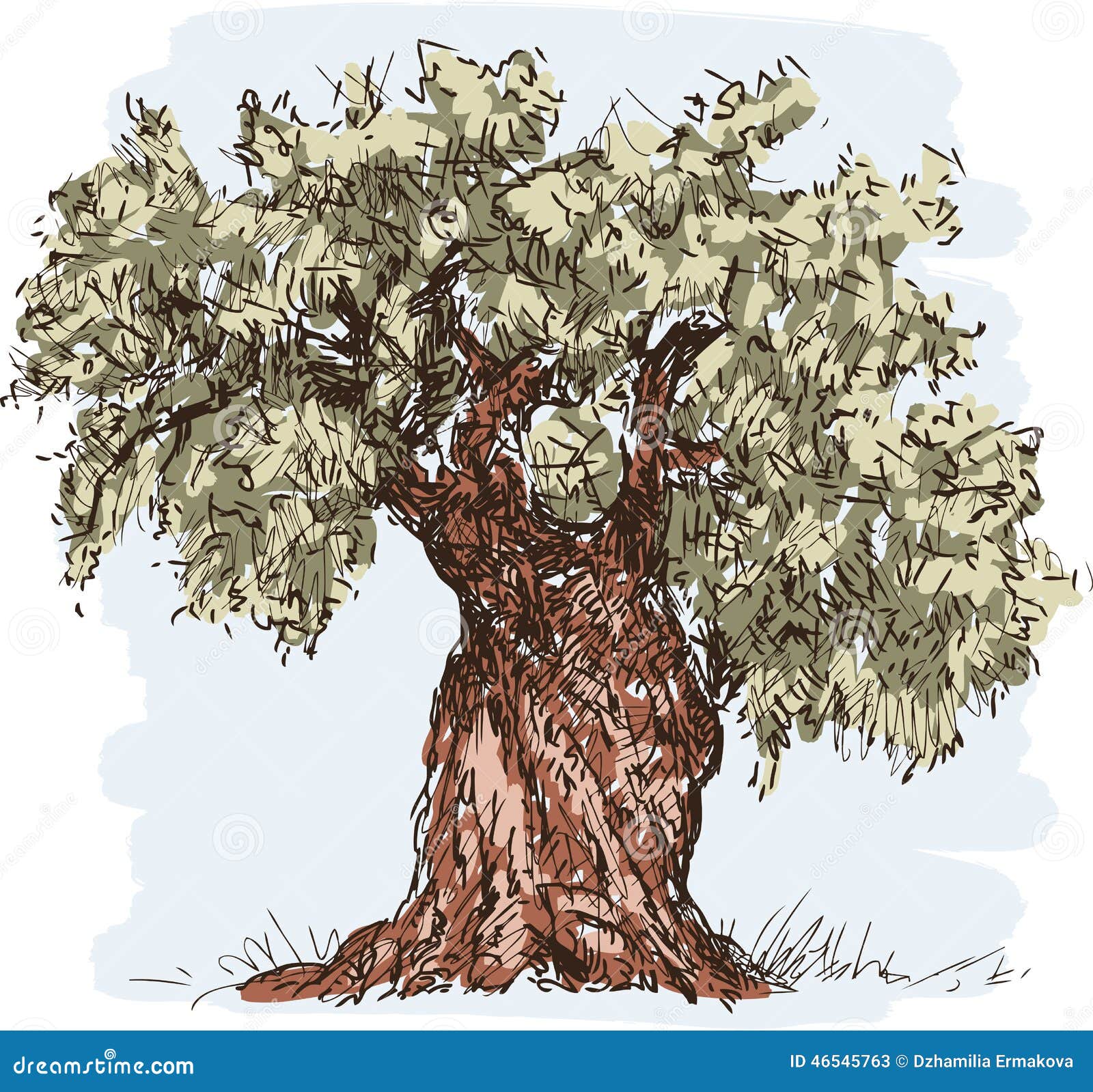 Olive tree stock vector. Illustration of outdoors, industry - 46545763