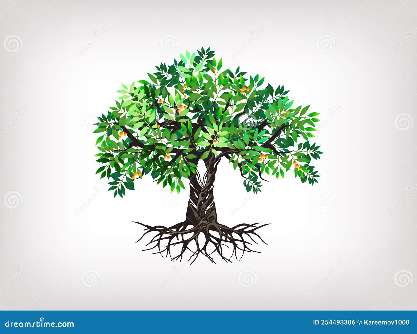 Olive Tree Vector Hand Drawing Stock Vector - Illustration of isolated ...