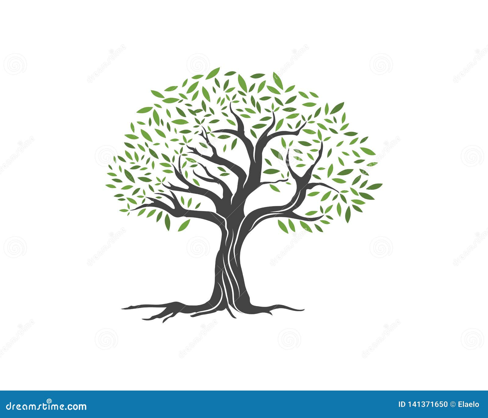 Olive Tree Vector Illustration Stock Vector - Illustration of foliage ...