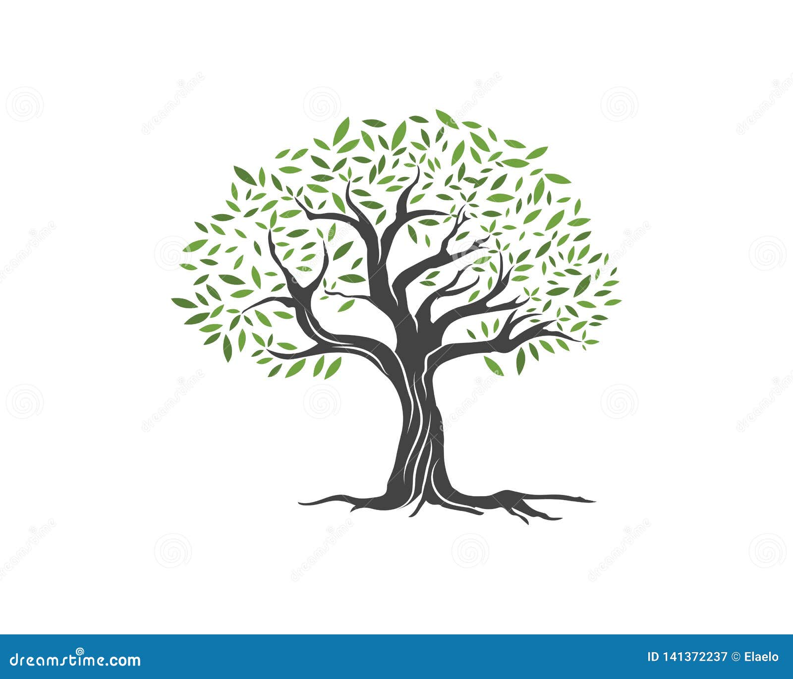 Olive Tree Vector Illustration Stock Vector - Illustration of design ...
