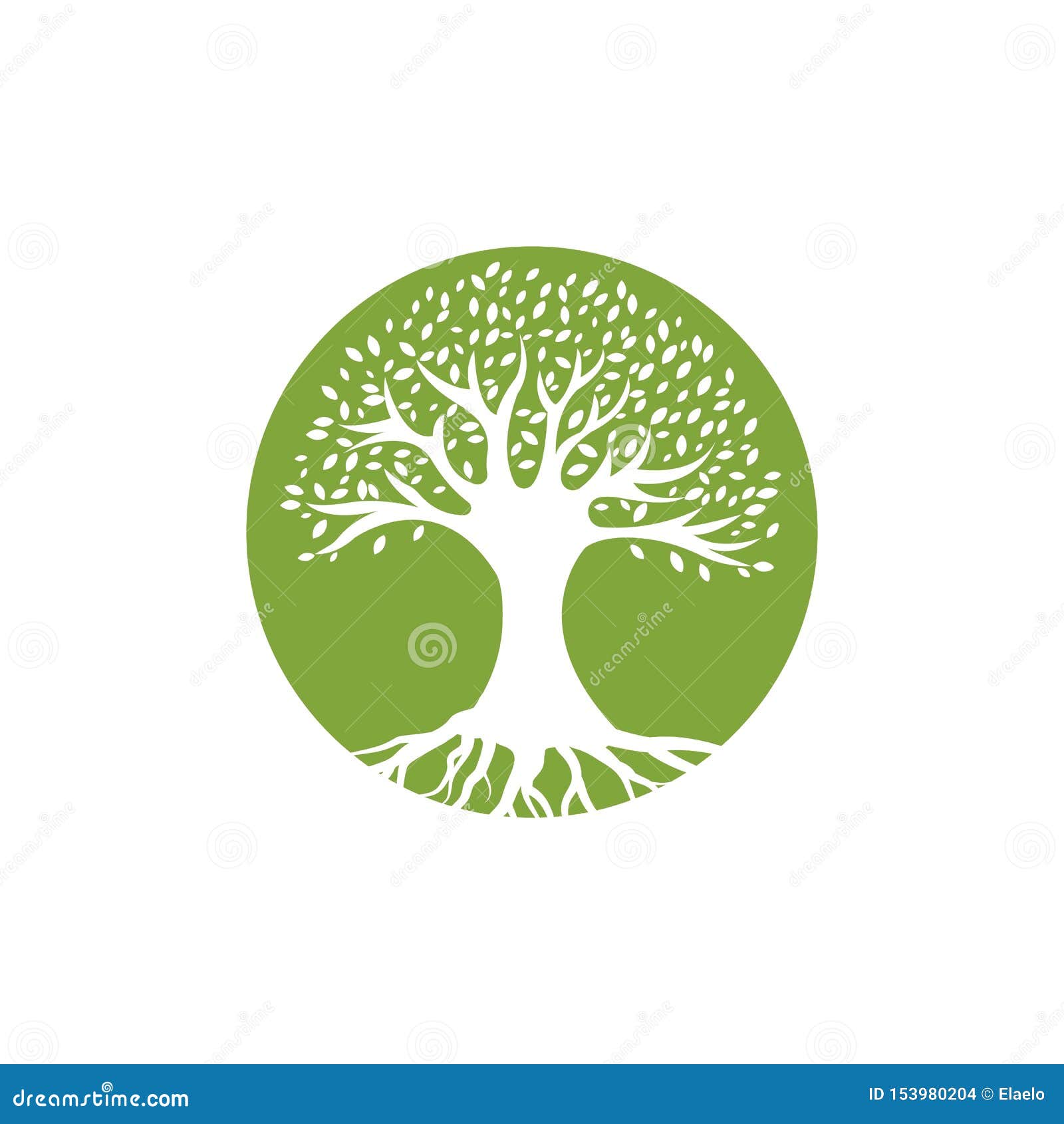 Olive Tree Vector Illustration Stock Vector - Illustration of pictogram ...