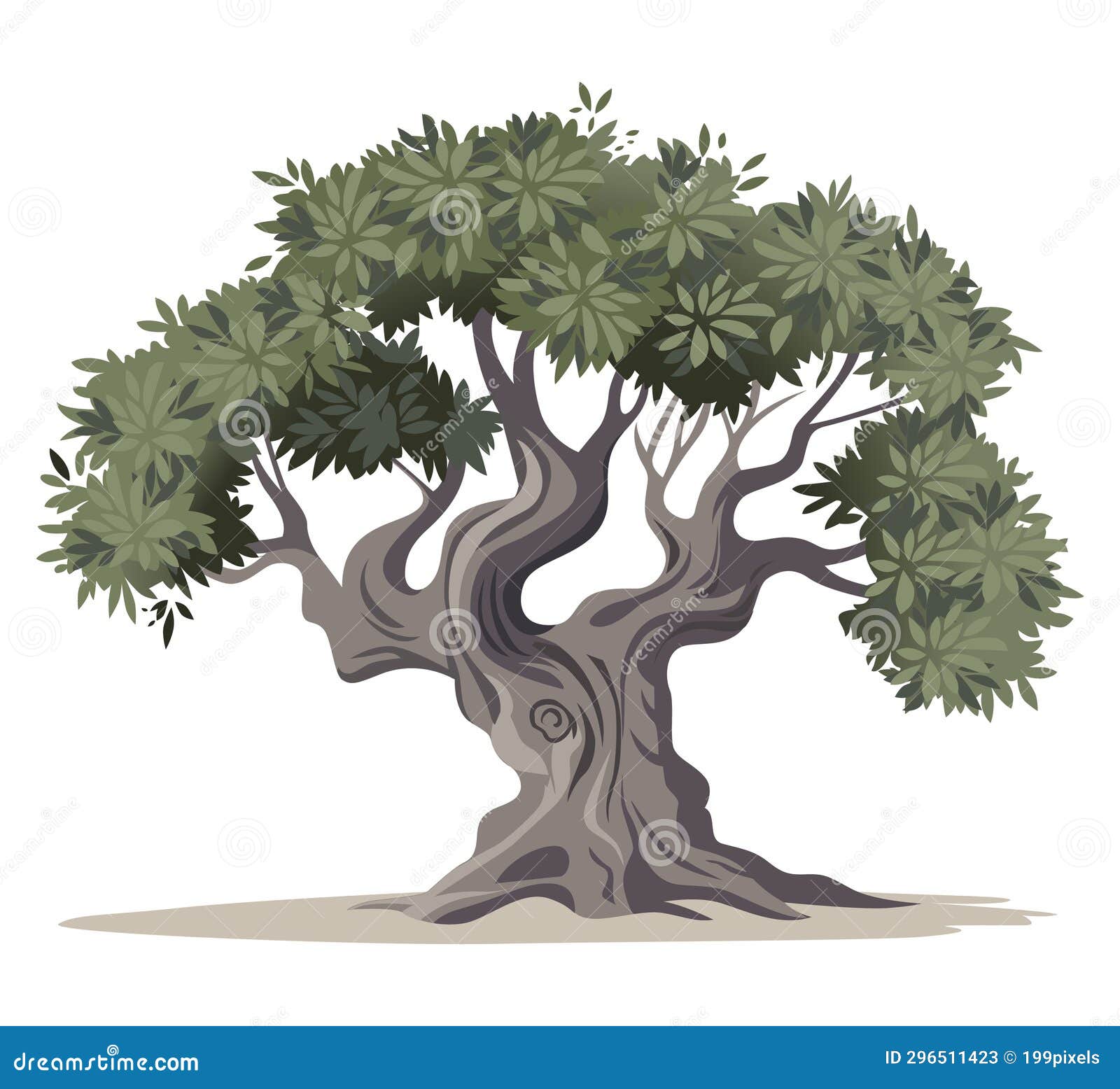 Olive Tree Vector Illustration. Hand Drawn Watercolor Stock ...