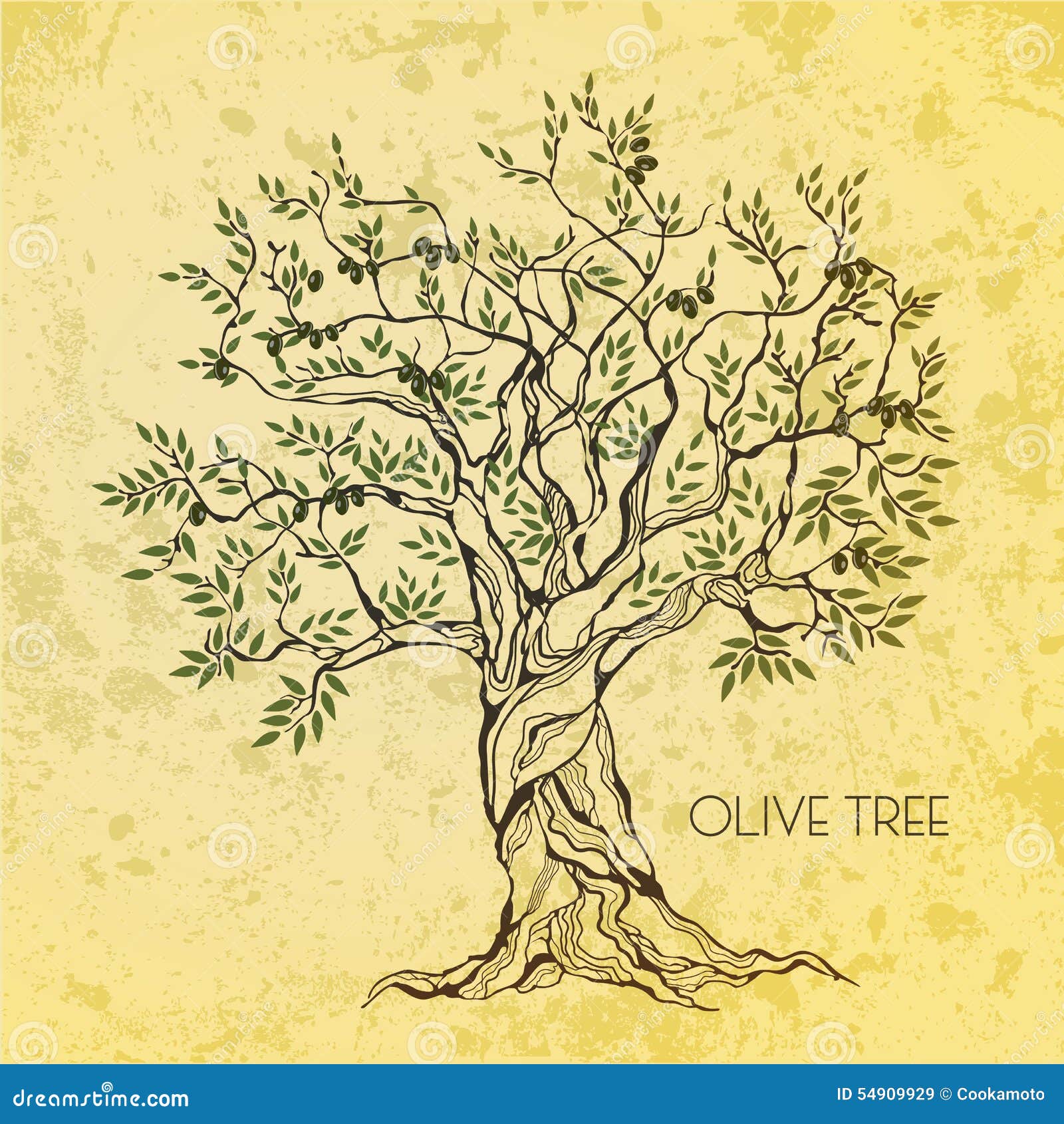 Olive Tree on Vintage Paper Stock Vector - Illustration of abstract ...