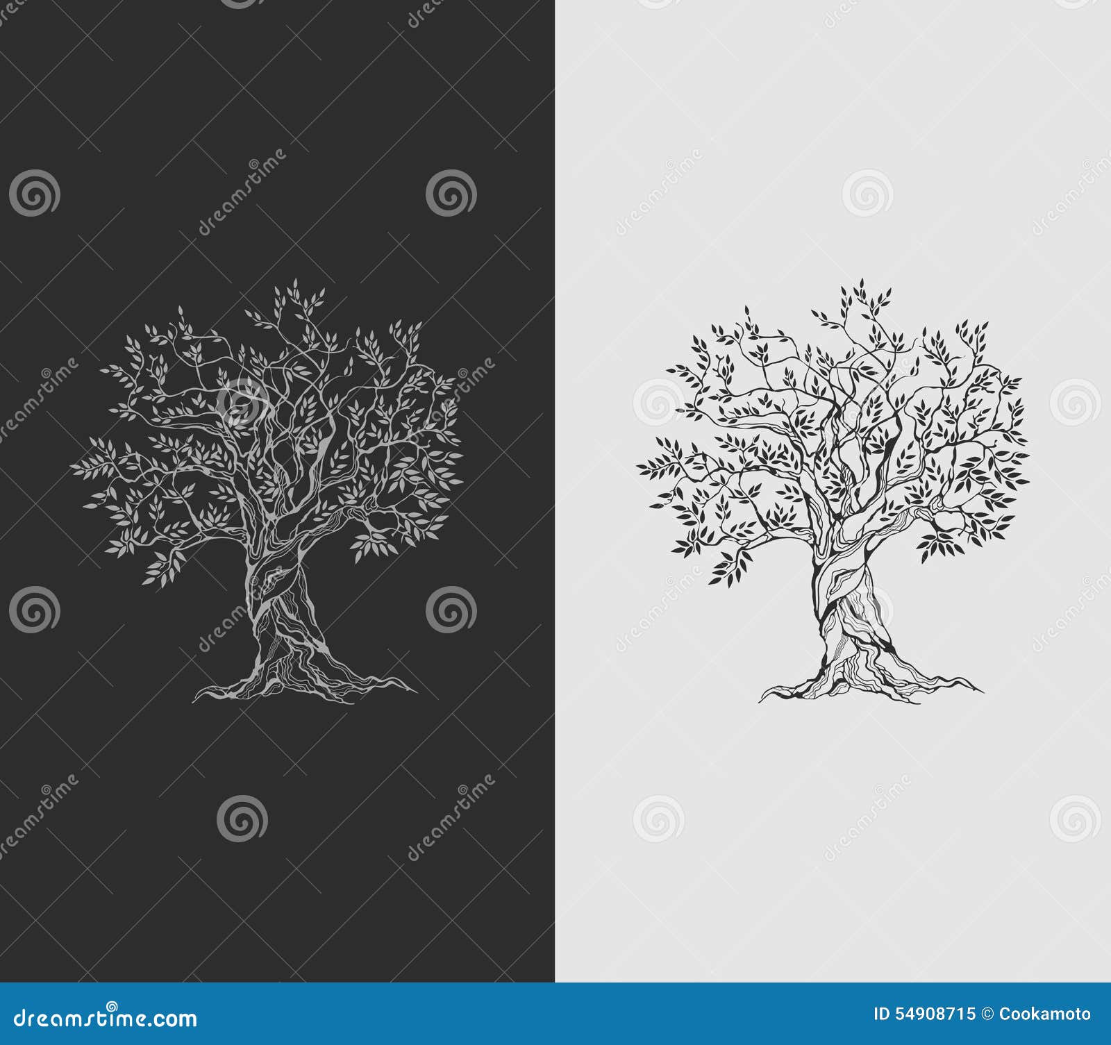Olive Tree Growth Stages. Vector Illustration. Ripening Period ...