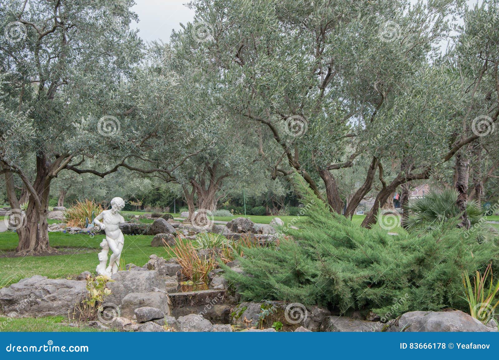 Olive Trees and Ancient Sculpture in an Exotic Park Stock Photo - Image ...