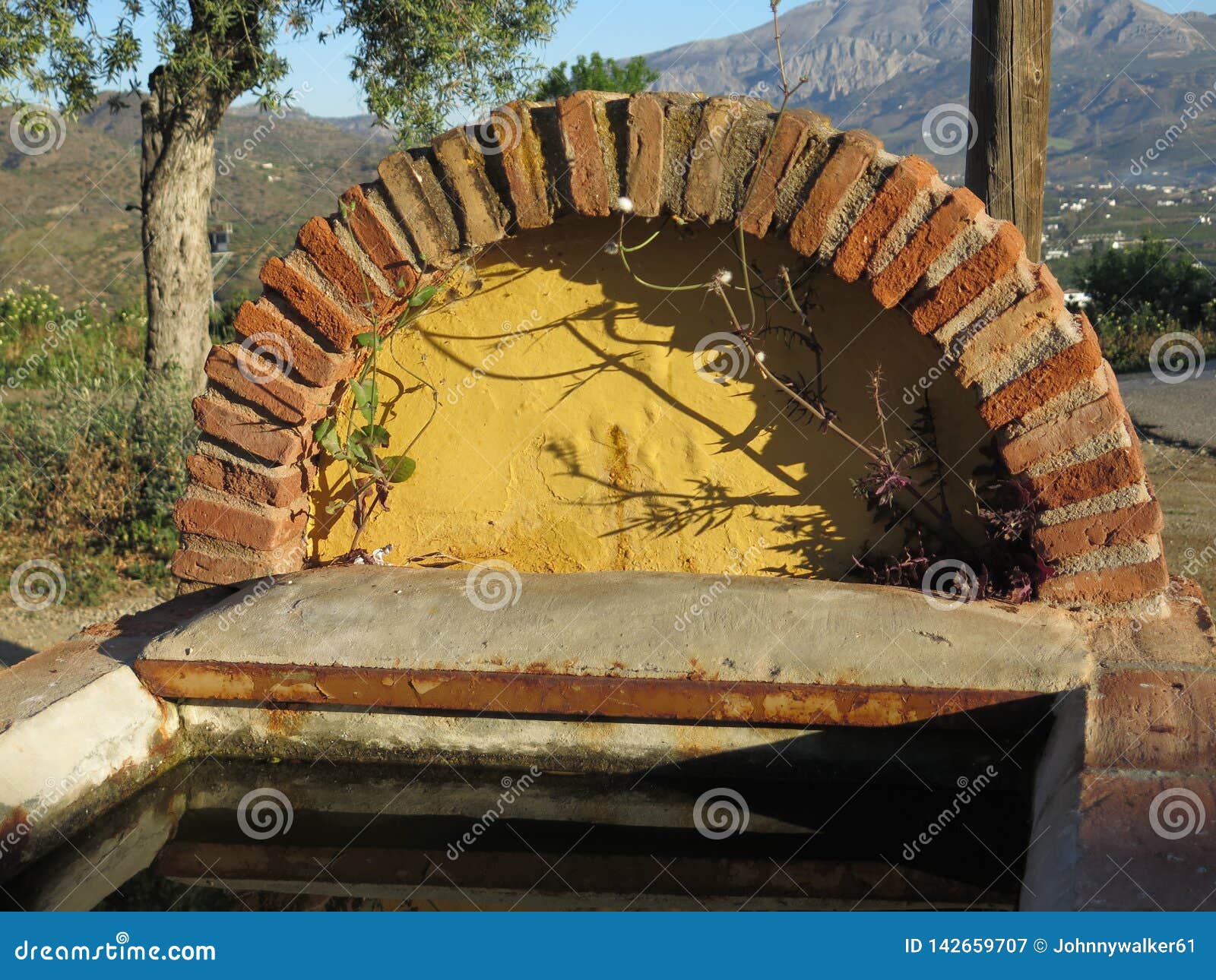 Olive Trees Shading Cattle Trough Stock Image - Image of olive, design ...