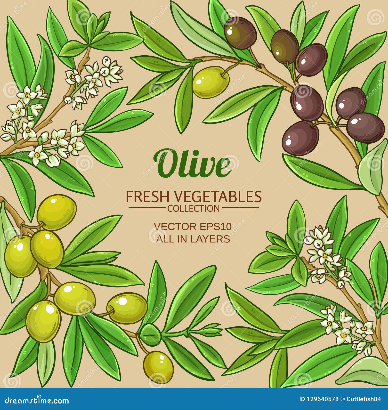 Olive vector frame stock vector. Illustration of isolated - 129640578