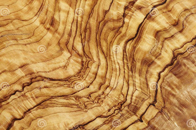 Olive wood stock image. Image of wallpaper, olive, detail - 25749977