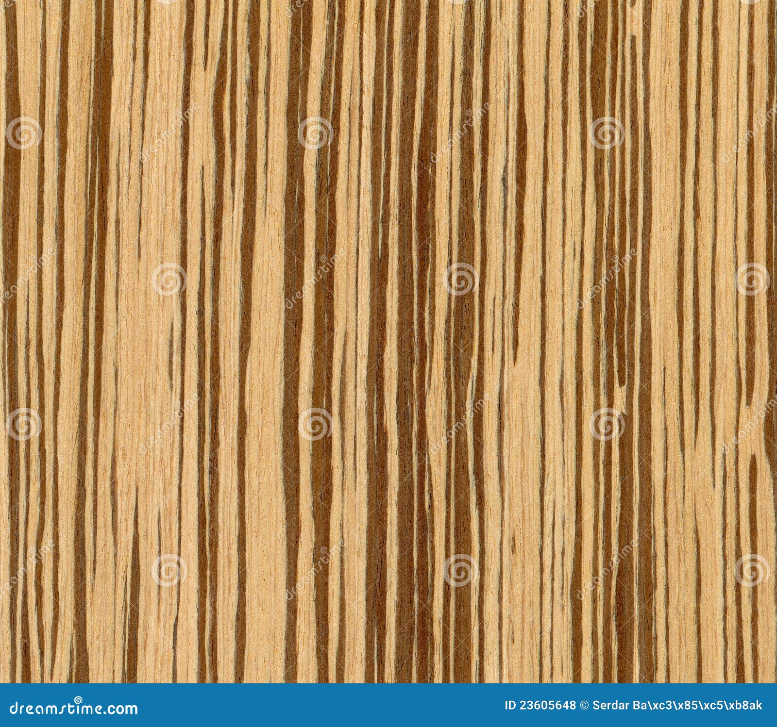 Olive wood texture stock photo. Image of construction - 23605648
