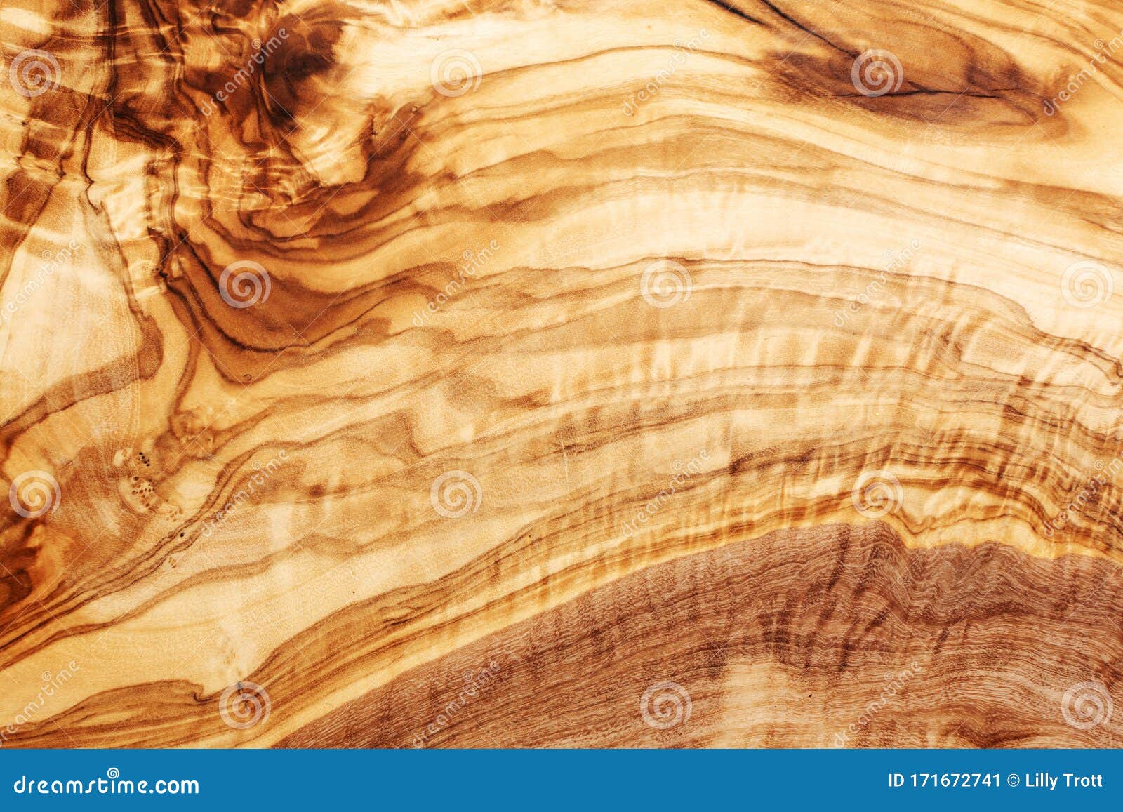 Olive Wood Texture Background Stock Image - Image of pattern, hard ...