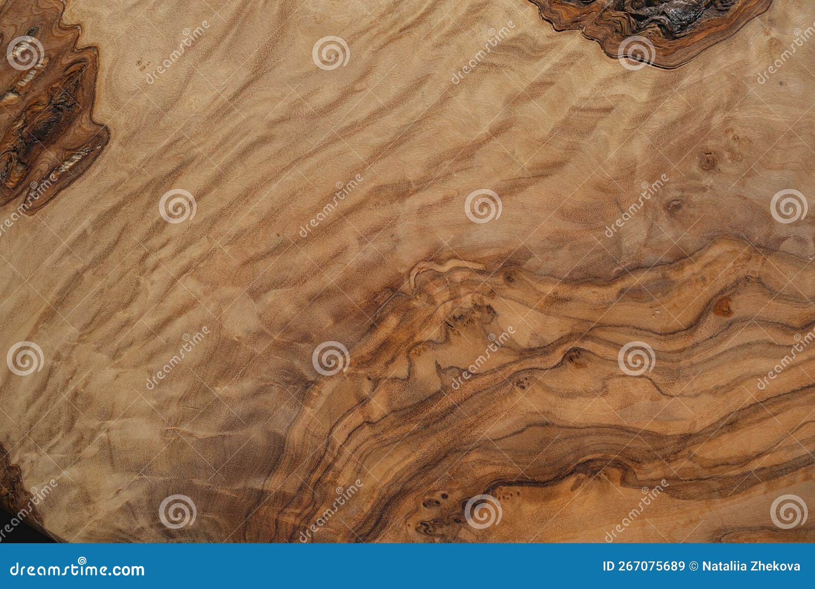 Olive Wood Texture Background. Vintage Wood. Surface of Texture with ...