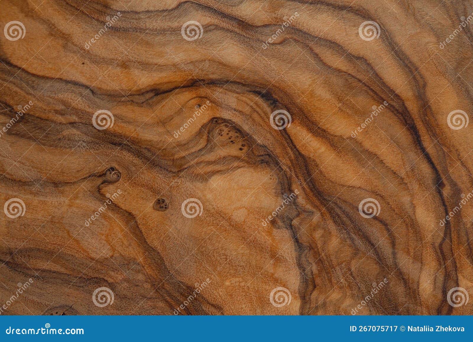 Olive Wood Texture Background. Vintage Wood. Surface of Texture with ...
