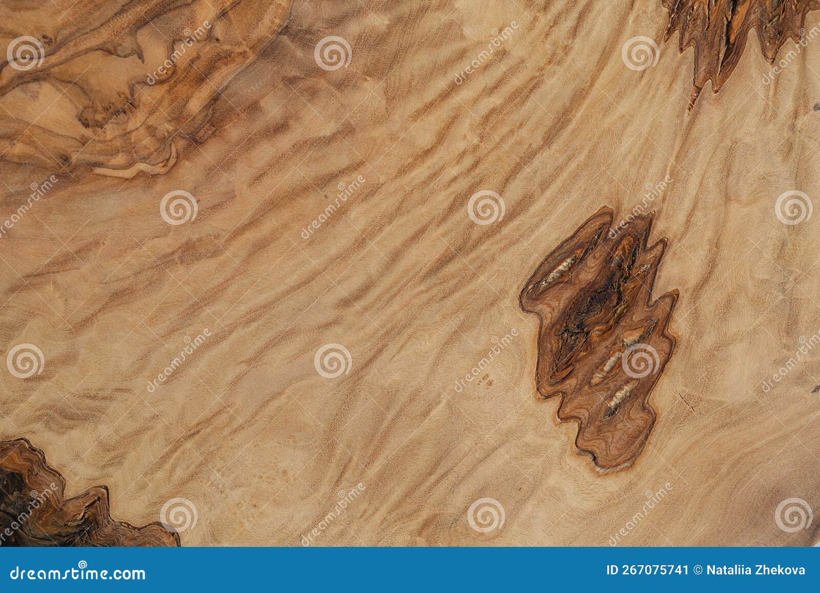 Olive Wood Texture Background. Vintage Wood. Surface of Texture with ...