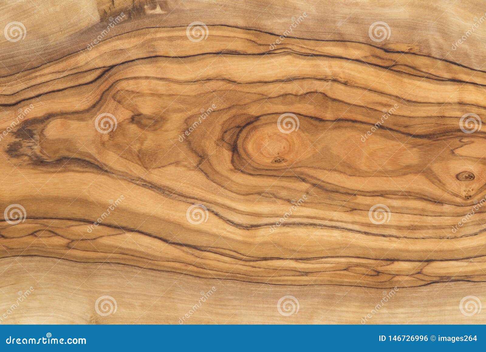 Olive wood texture stock photo. Image of lumber, olive - 146726996