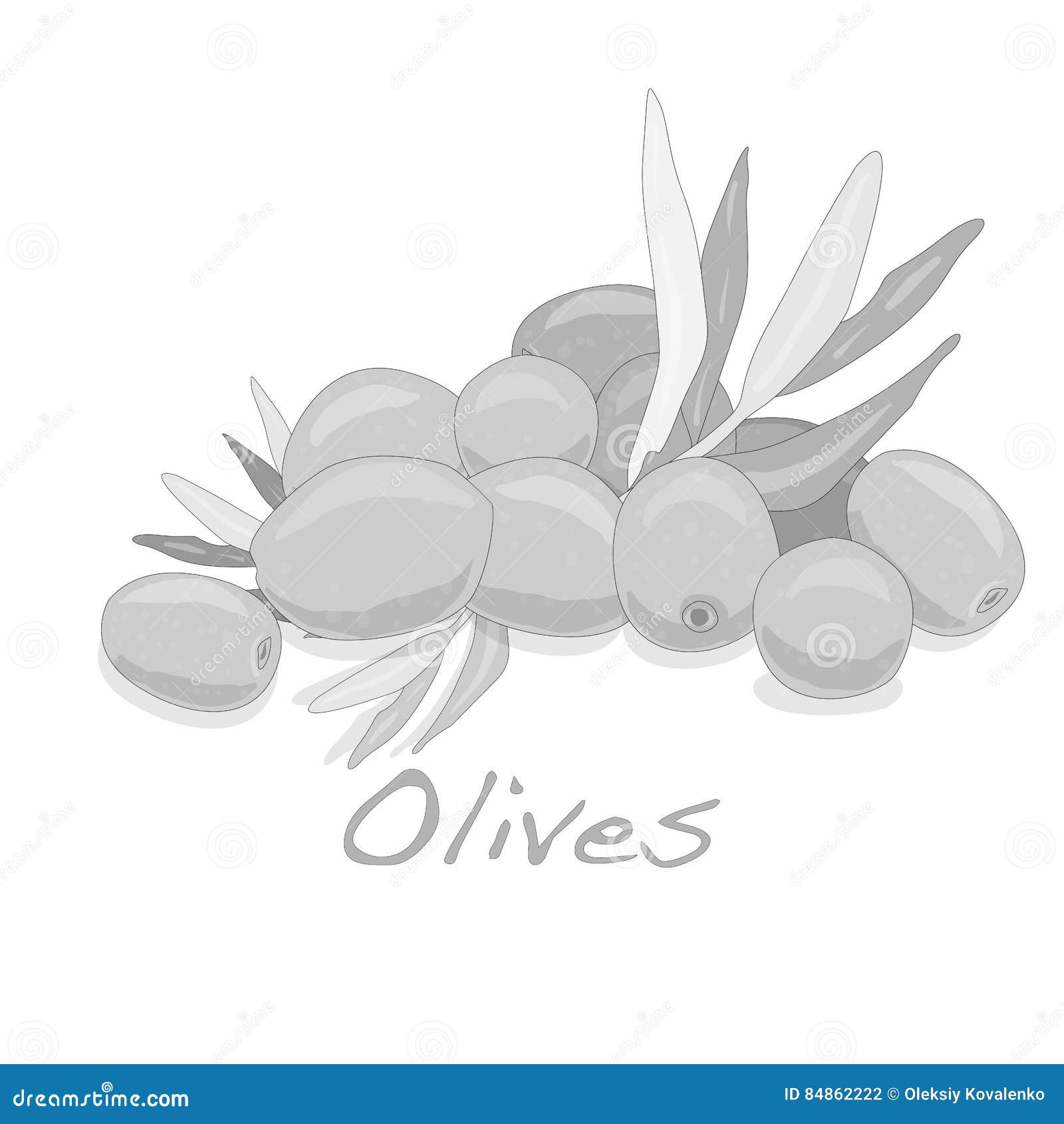 Oliven vector lokalisiert vektor abbildung. Illustration von frisch ...