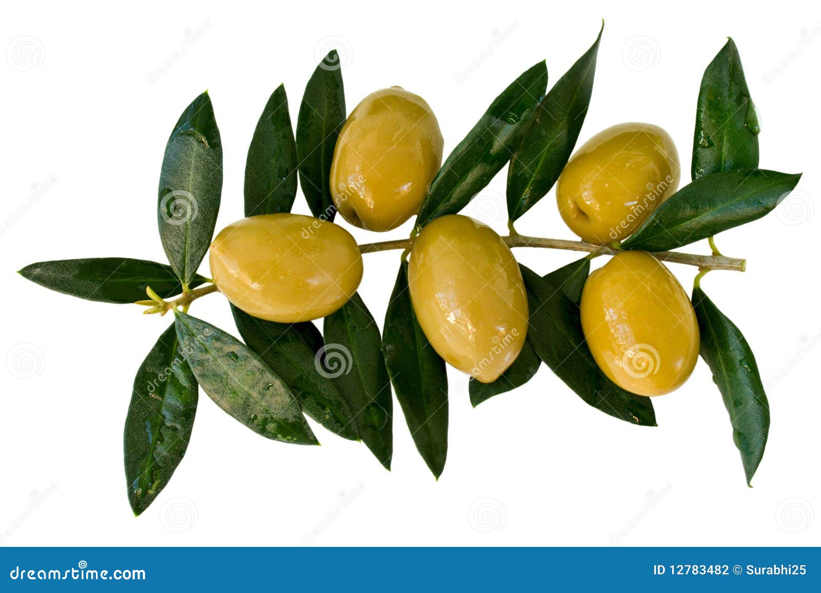 Olives stock photo. Image of foliage, vegetable, leaf - 12783482
