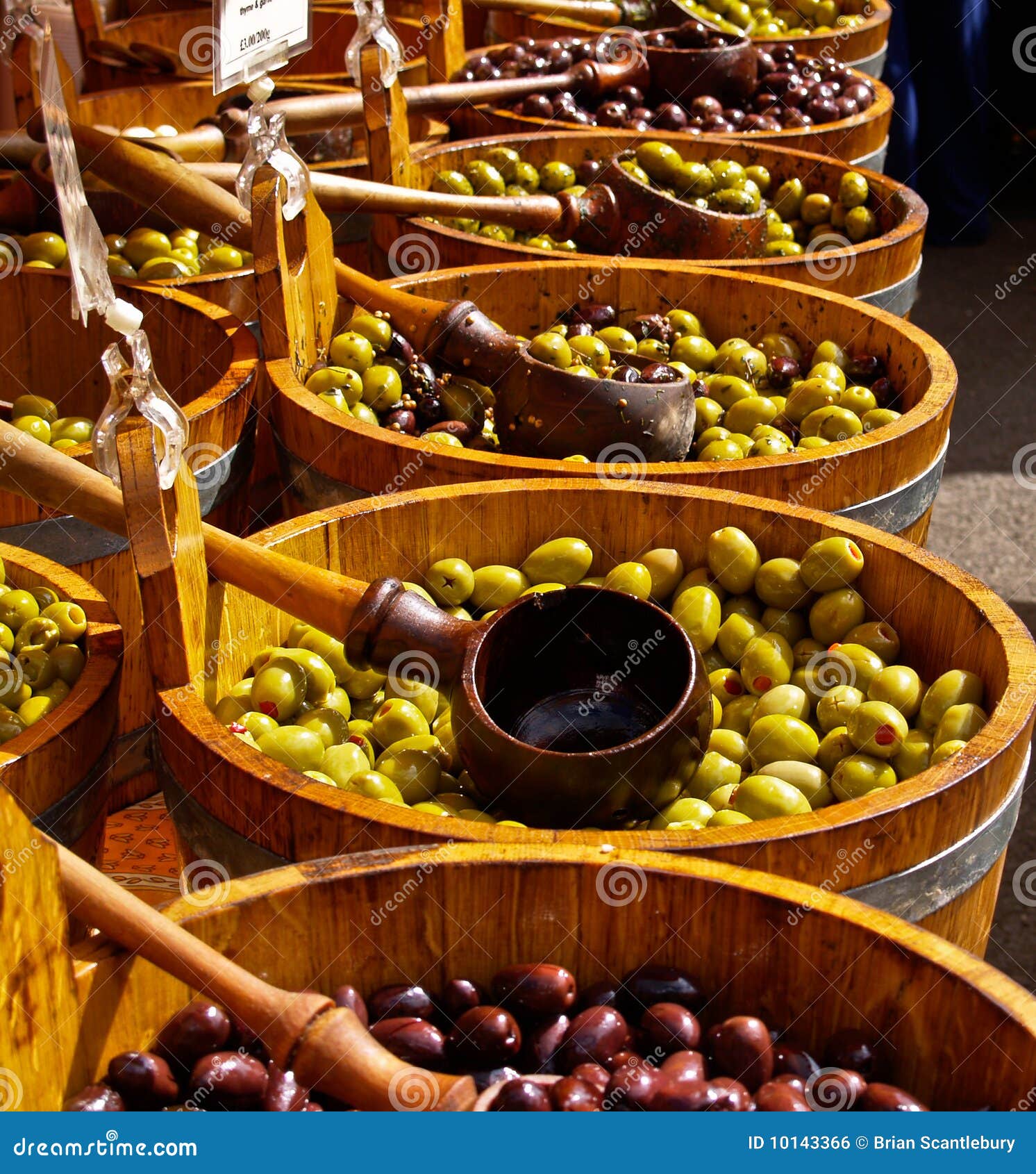 Olives in barrells. stock photo. Image of barrells, taste - 10143366