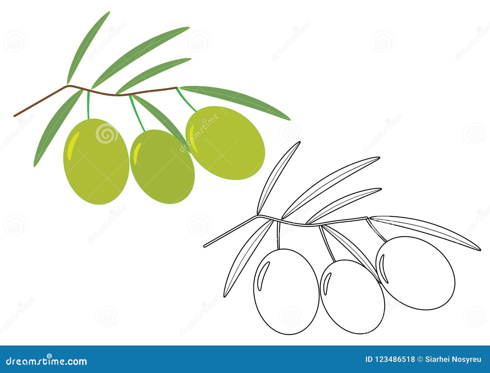 Coloring Pages Of Olive Trees