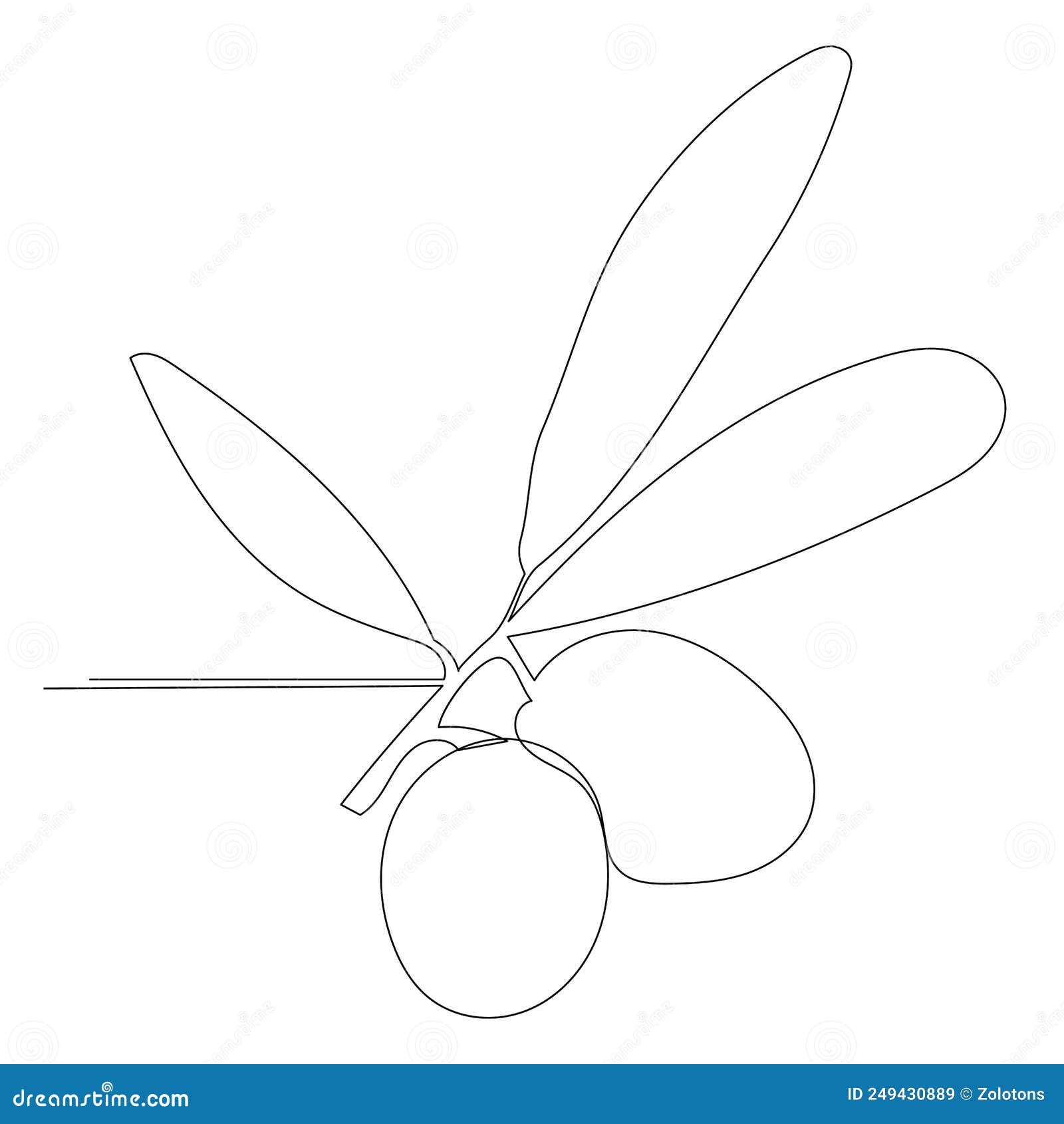 Olives Drawing. Whole And Sliced Cooking Ingredient Sketch Vector ...