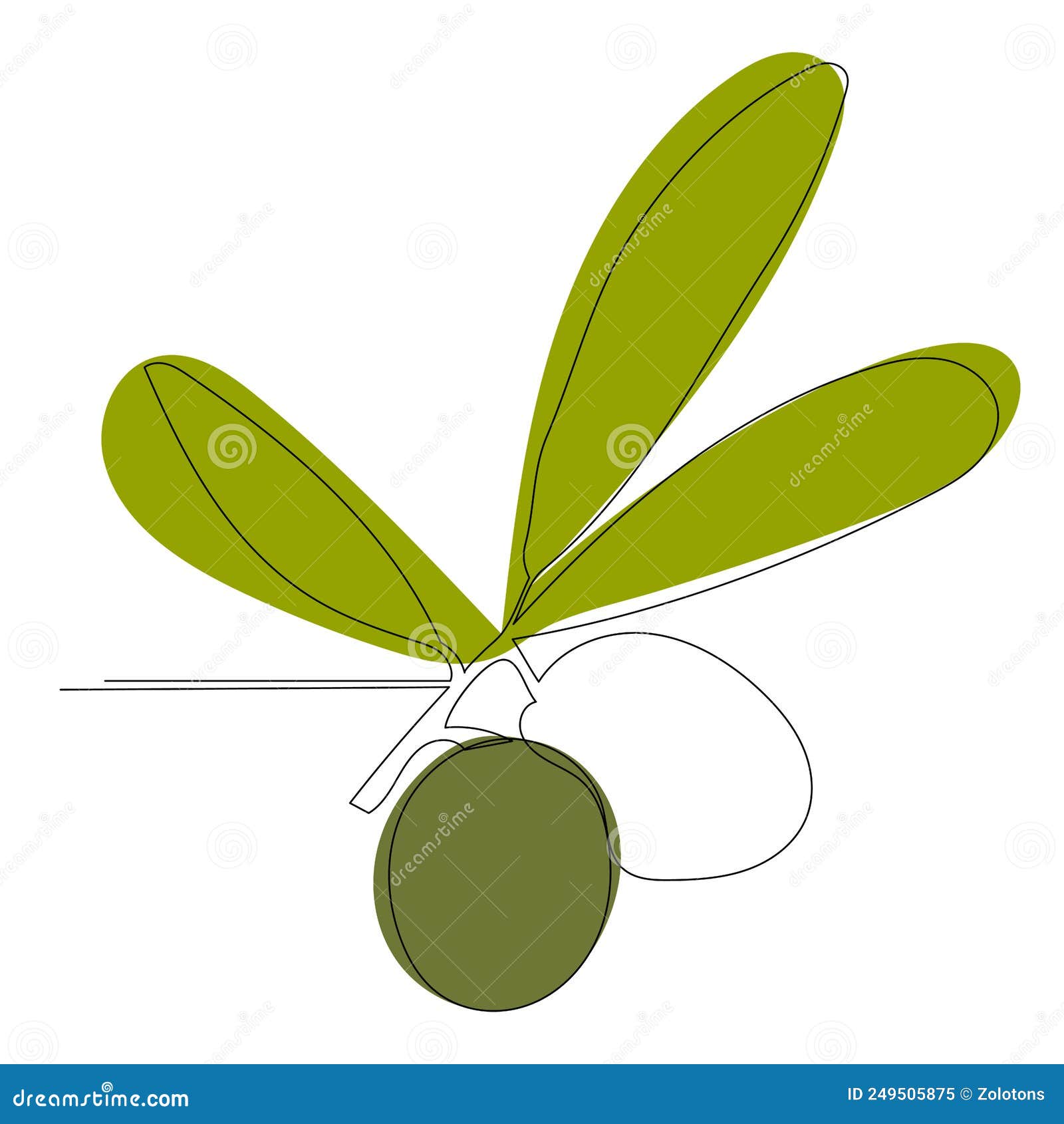 Olives Drawing by One Continuous Line, Sketch Stock Vector ...