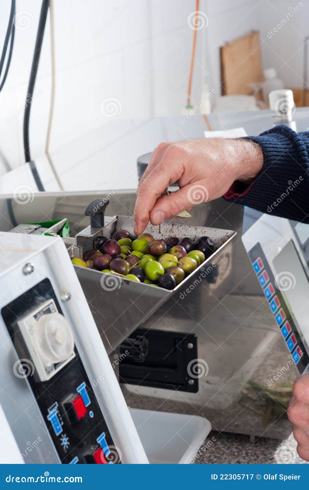 Olives in the food lab stock image. Image of laboratory - 22305717