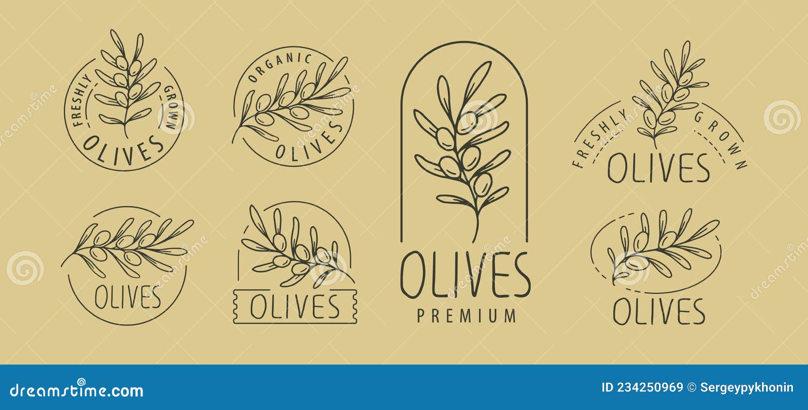 Olives Label Set. Olive Branch Badge Vector Stock Vector - Illustration ...