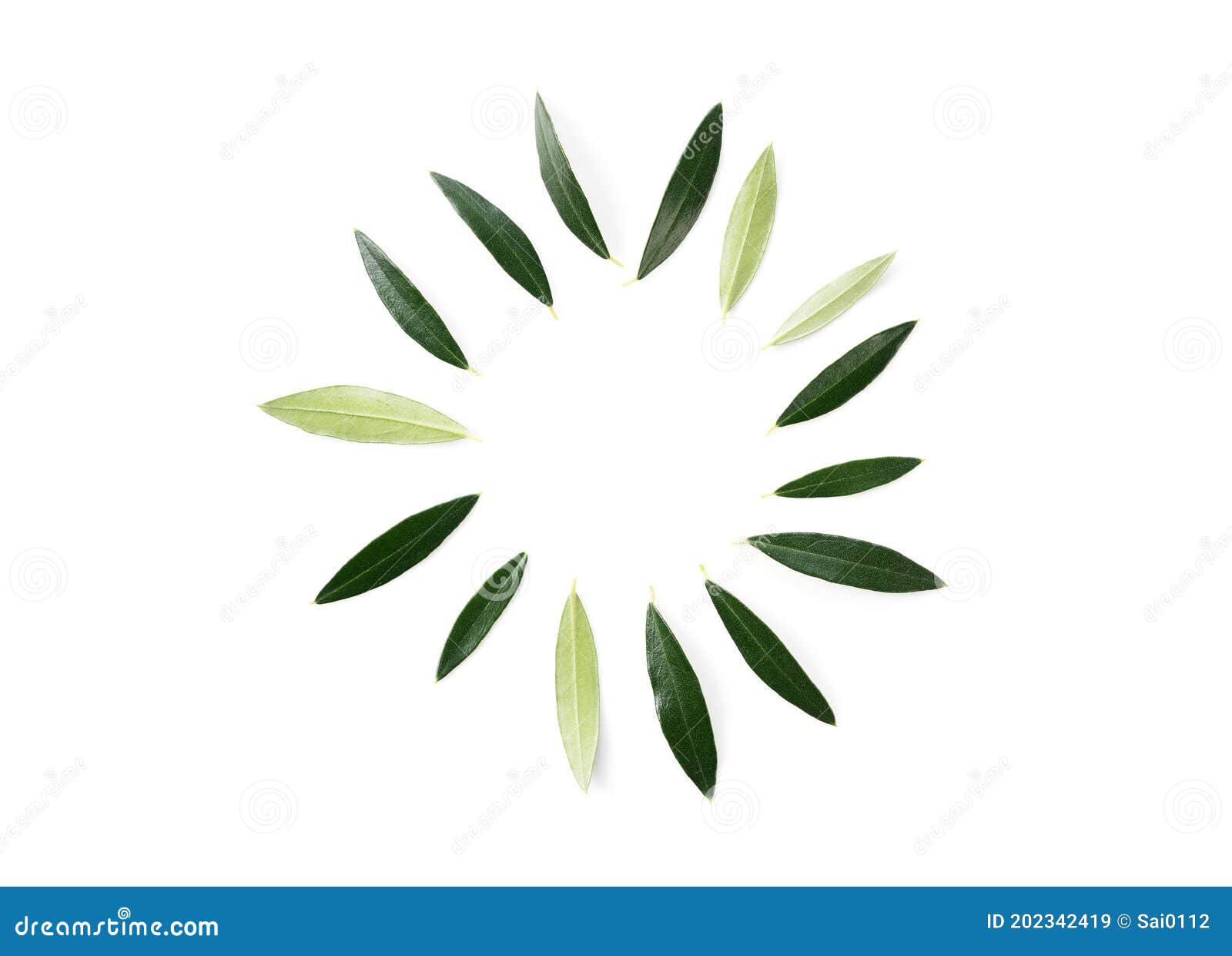 Olives Placed To Be a Circle Placed on a White Background Stock Image ...