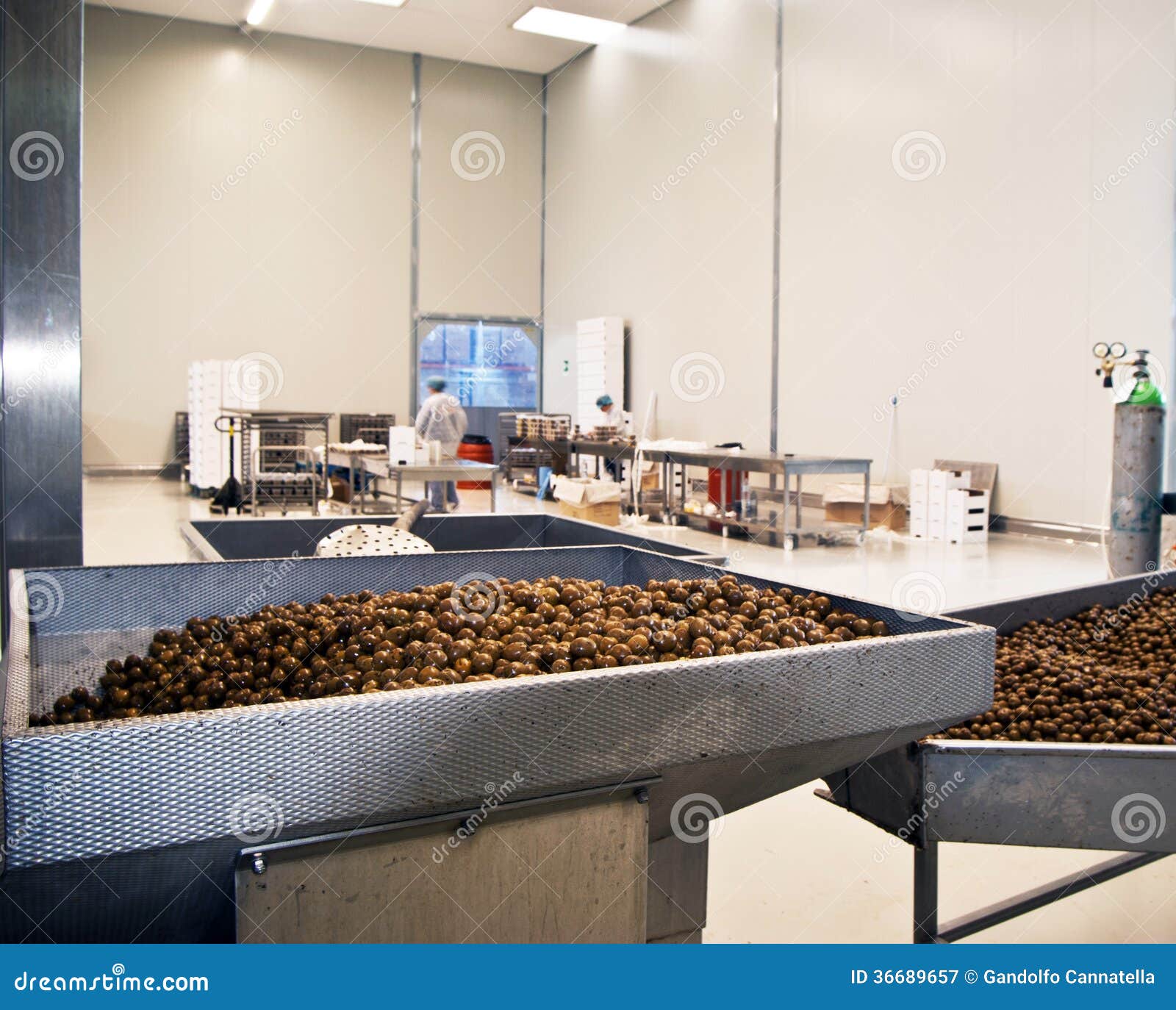 Olives in a Processing Machine Stock Image - Image of food, clean: 36689657