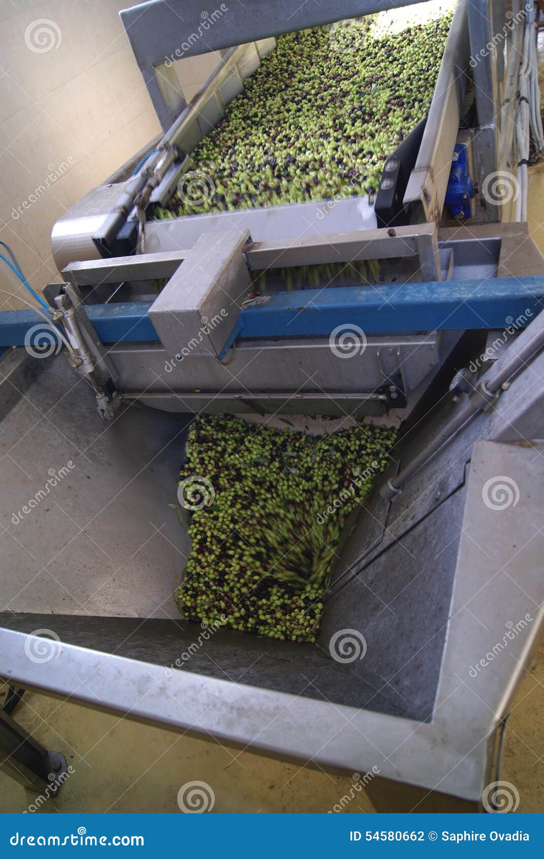 Olives in a Processing Machine Stock Photo - Image of greek, health ...